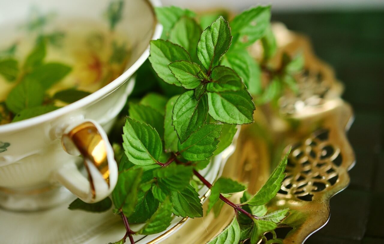 What Is Peppermint Tea Good For? 7 Surprising Benefits